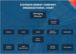 Organisation Chart / Management Structure | ECOTRAFO #1 Transformer ...